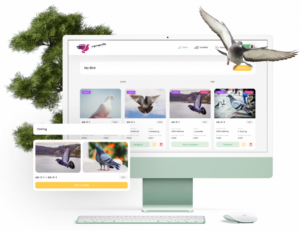 pigeonprofile.com – Racing Pigeon Management and Pedigree Software